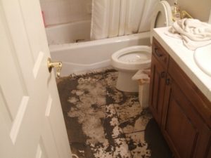 Awesome Bathtub Backed Up Toilet Water Backing Up In Tub Best Toilet ...